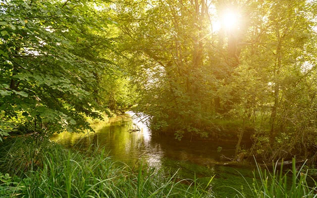 Our March 2021 Gin of the Month is the spirit of the River Test — Craft ...