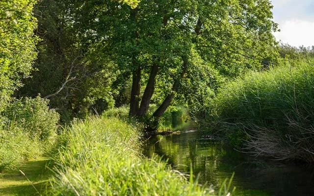 Our March 2021 Gin of the Month is the spirit of the River Test — Craft ...