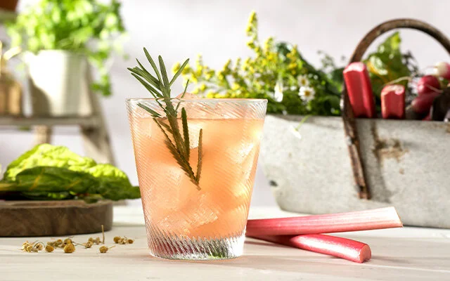 Throwback Thursday: Spring Sling or Spring Spritz, which is your ...