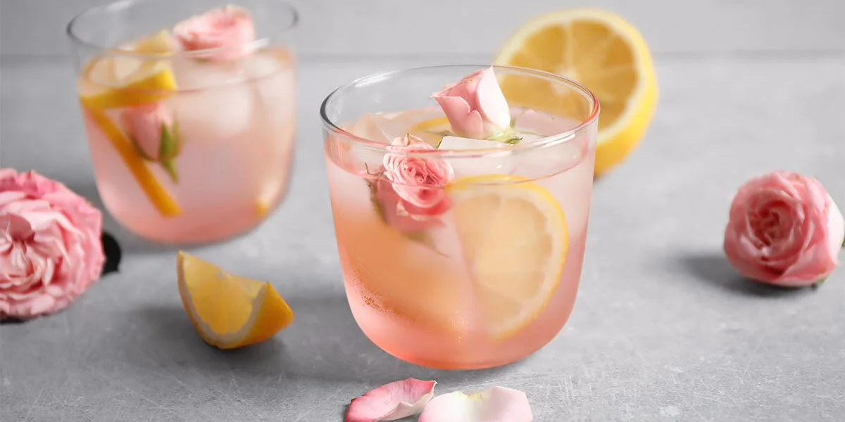 These cider and gin cocktails are perfect for sipping in the sun ...