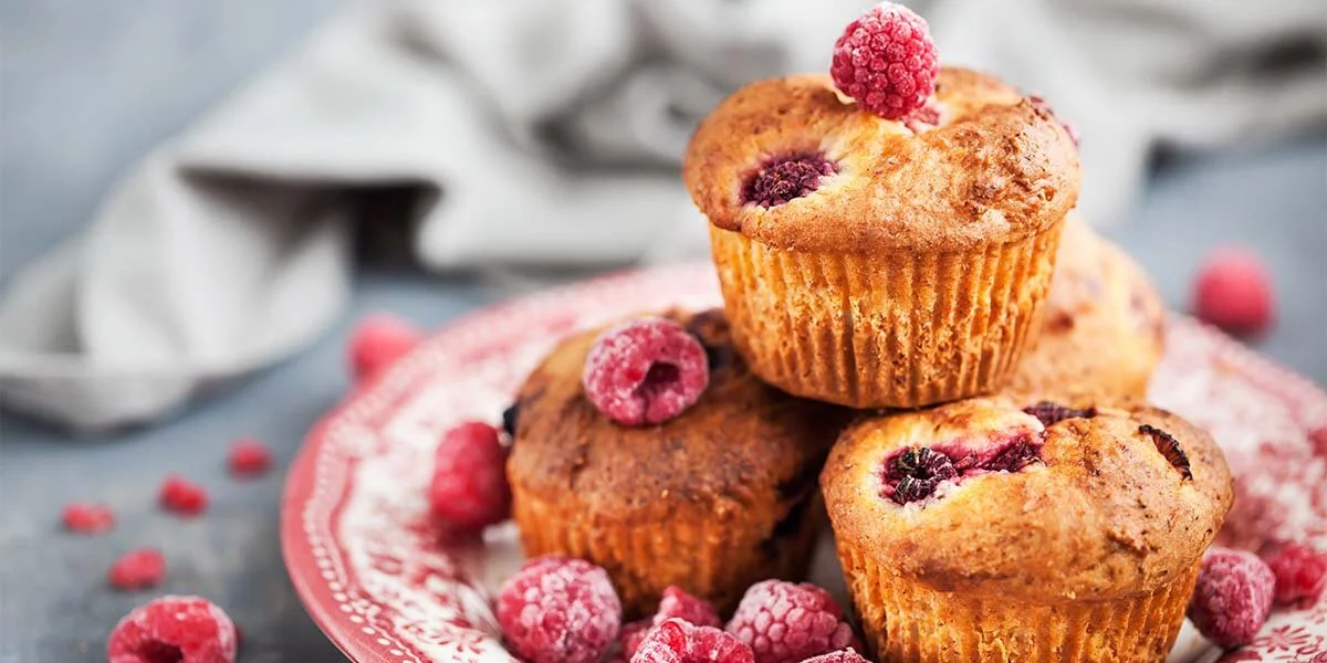 Try these incredible gin-soaked raspberry and fudge muffins! — Craft ...
