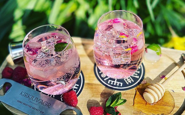 This Kirkjuvagr Beyla Honey & Raspberry Old Tom Gin and tonic is saving ...
