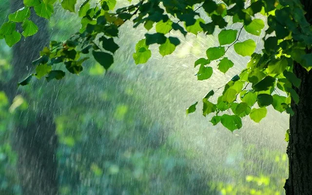 Let's play Coronation Bingo! How many of these will you tick off over ...