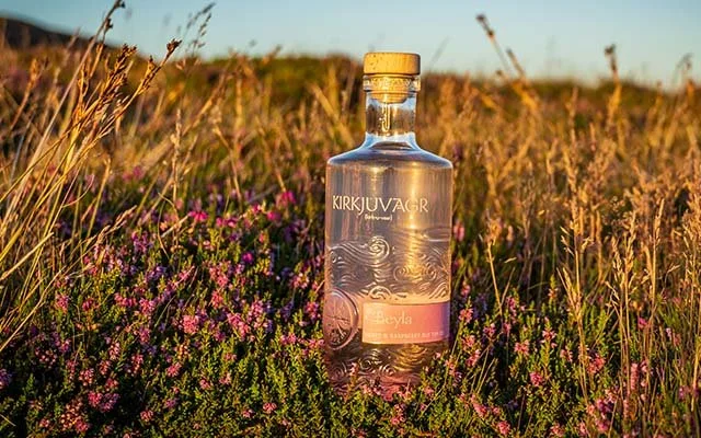 This Kirkjuvagr Beyla Honey & Raspberry Old Tom Gin and tonic is saving ...