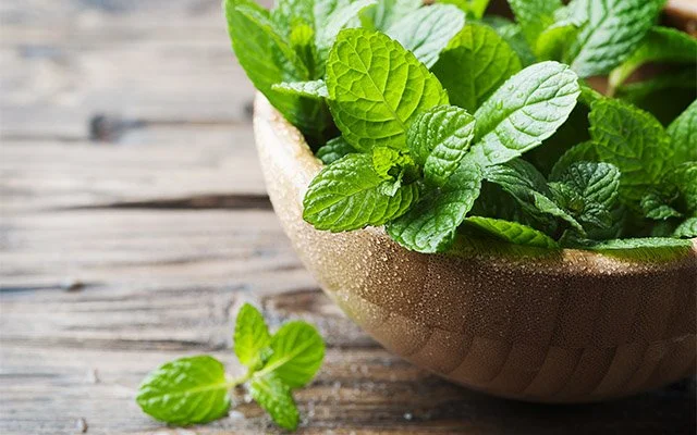 7 of the best gin cocktails with mint — Craft Gin Club | The UK's No.1 ...