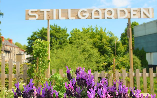 Stillgarden Social Gin: here's everything you need to know about this ...