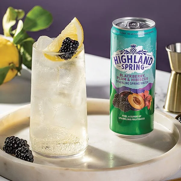 Blackberry & Plum Gin Spritz: You need to give this incredible cocktail ...