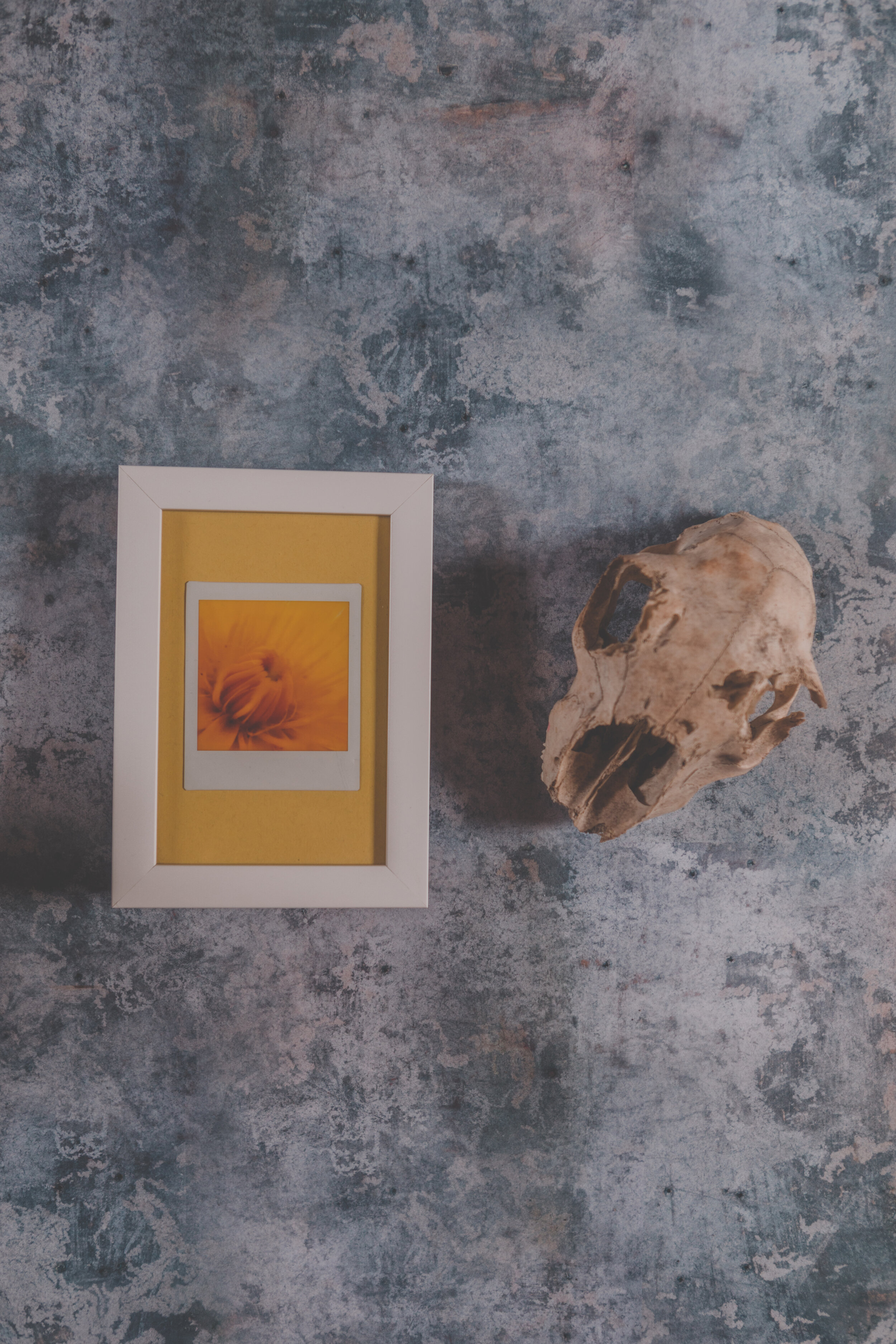 Photography Print Store — Craig Taylor-Broad Photography