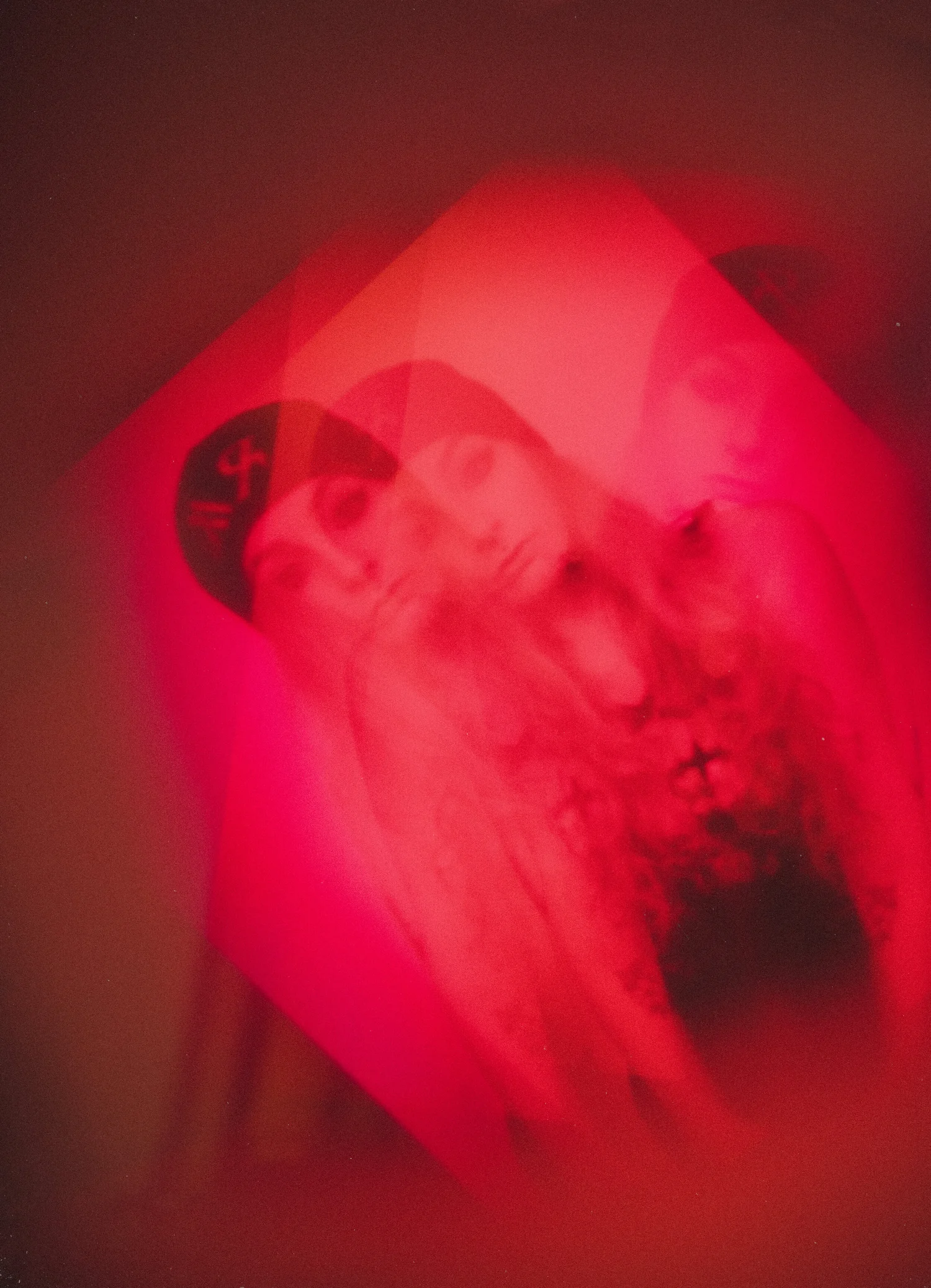 Amy Marie - Portrait Photography