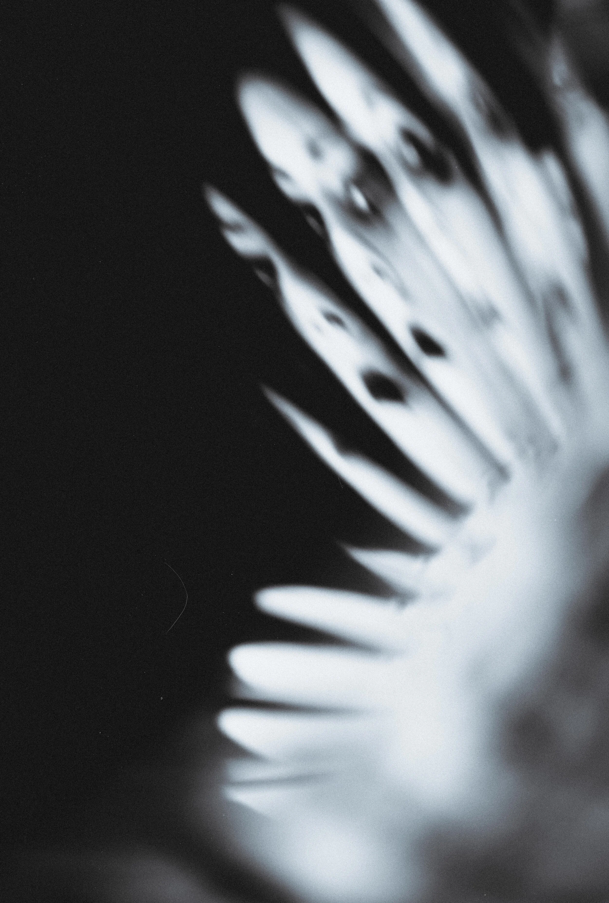 Kimberly - Portraits — Craig Taylor-Broad Photography