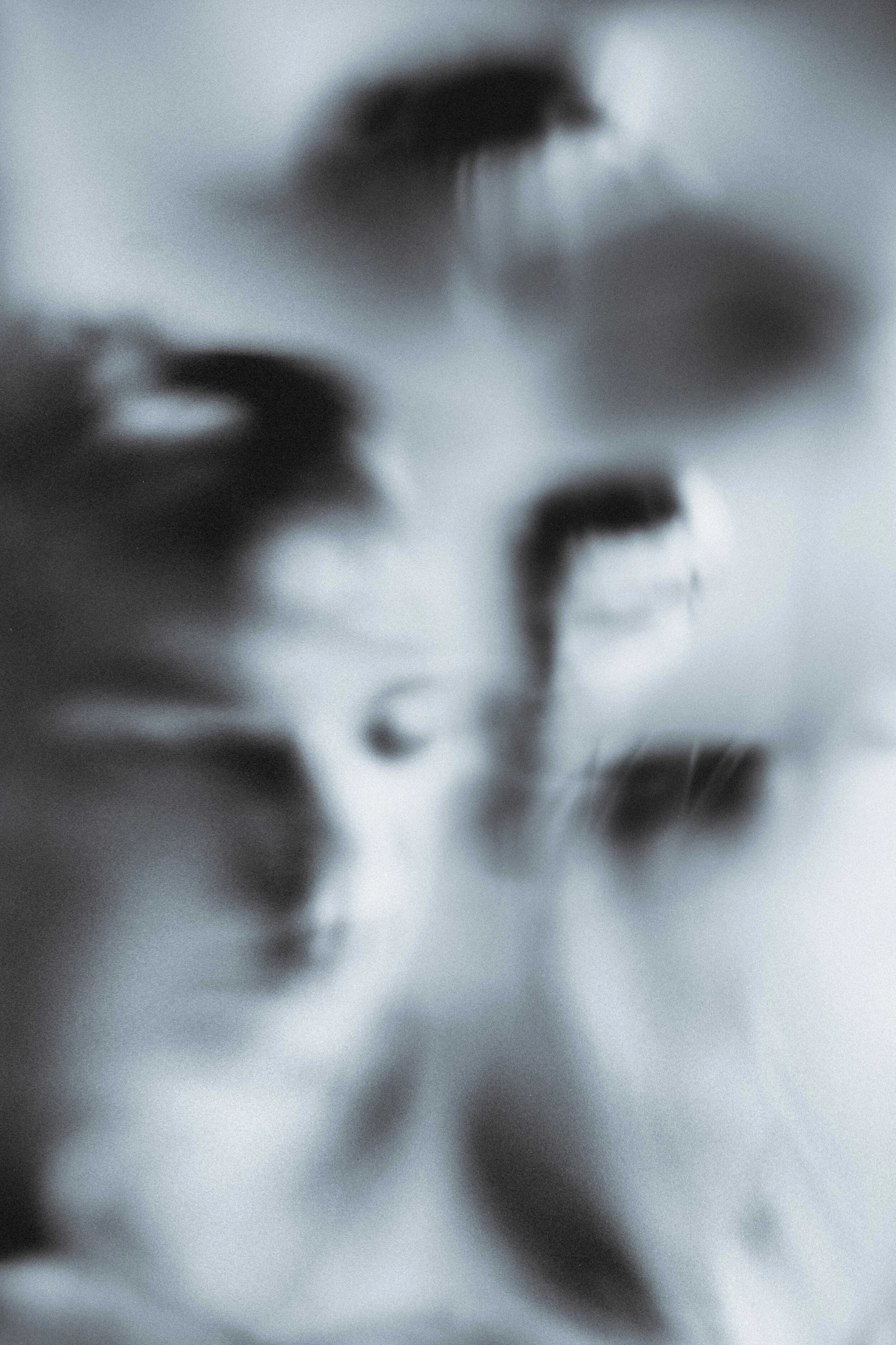 Barbara - Portraits — Craig Taylor-Broad