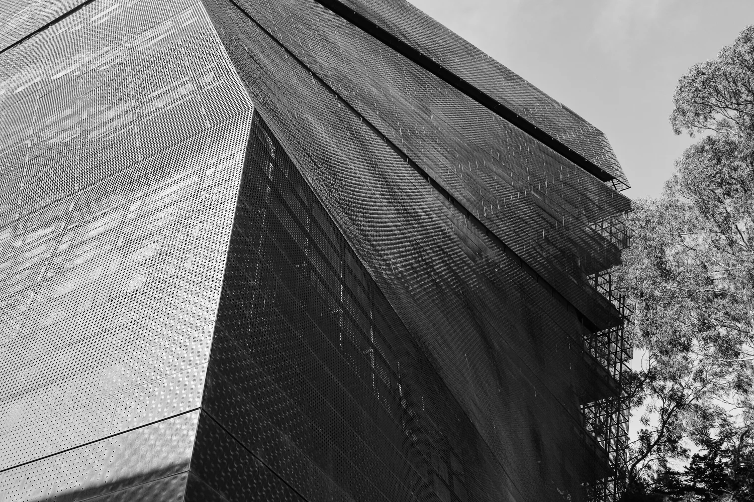 M.H. de Young Museum / Herzog & de Meuron — Miller Taylor