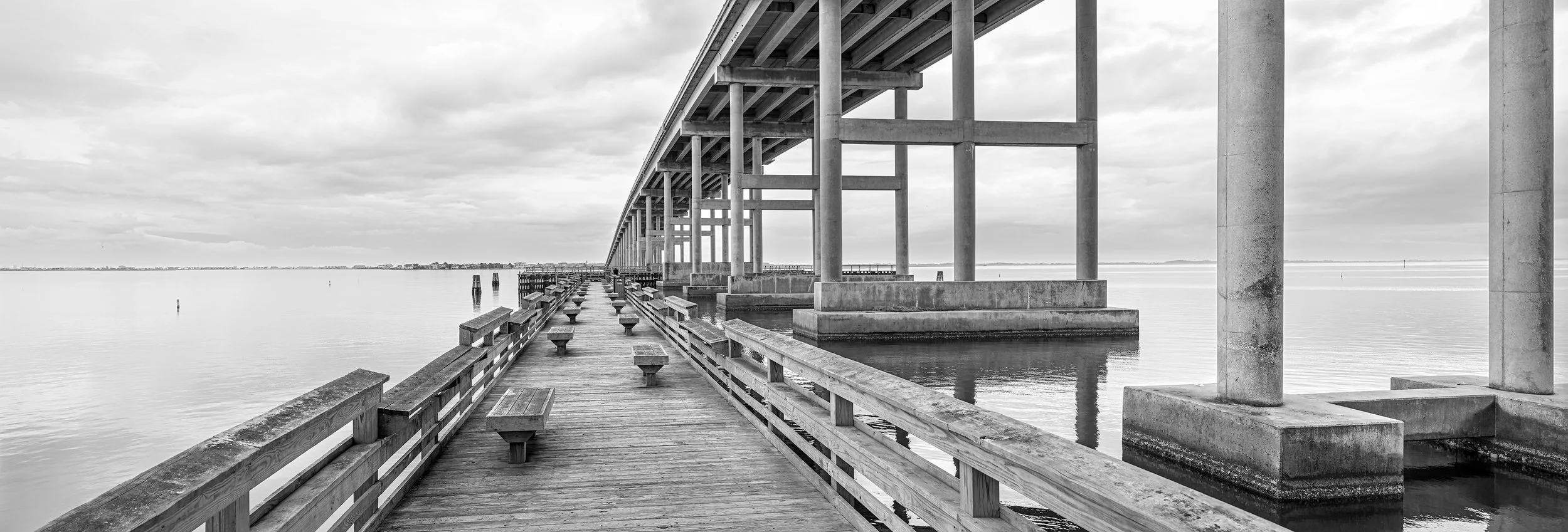 SHORELINE at Carroll Square Gallery — Miller Taylor