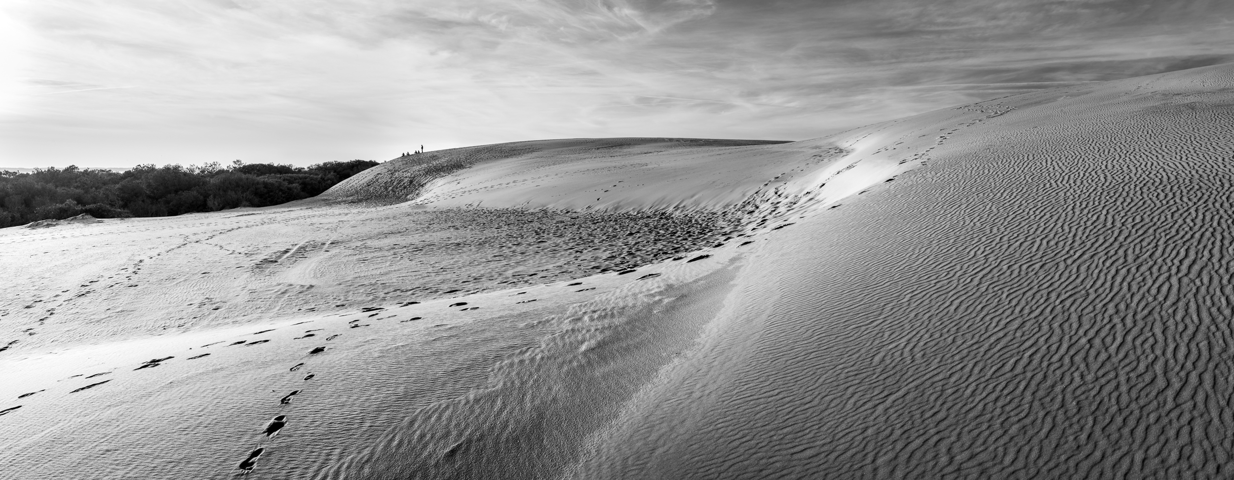 Jockey's Ridge — Miller Taylor