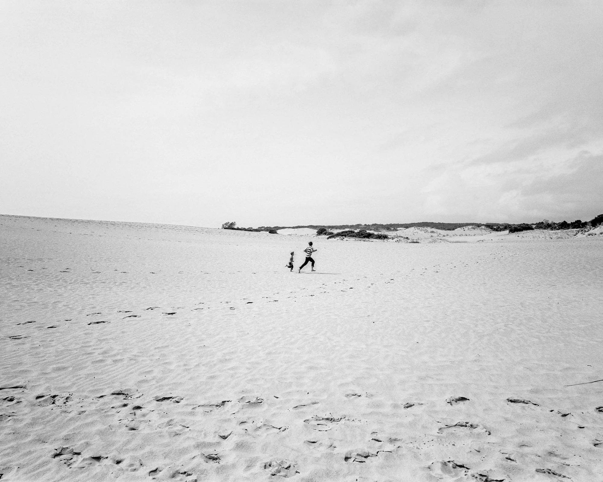 Jockey's Ridge — Miller Taylor