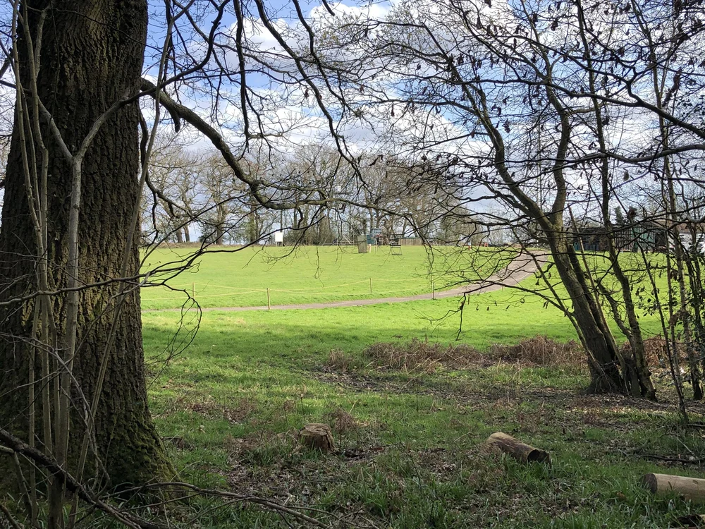 Chessington Countryside Walk — Richard Gower