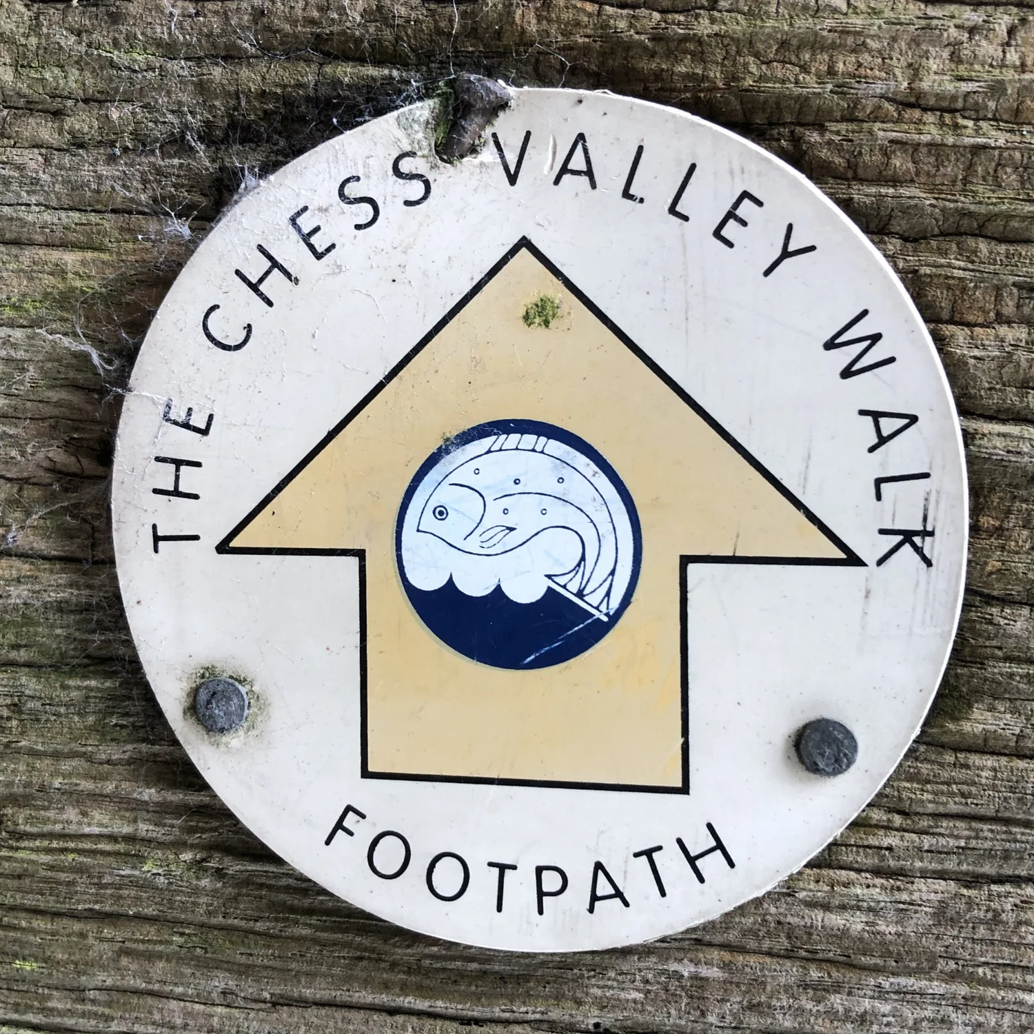 Best Chiltern Walks: Trail Guides, Maps, and Routes in the Chiltern ...