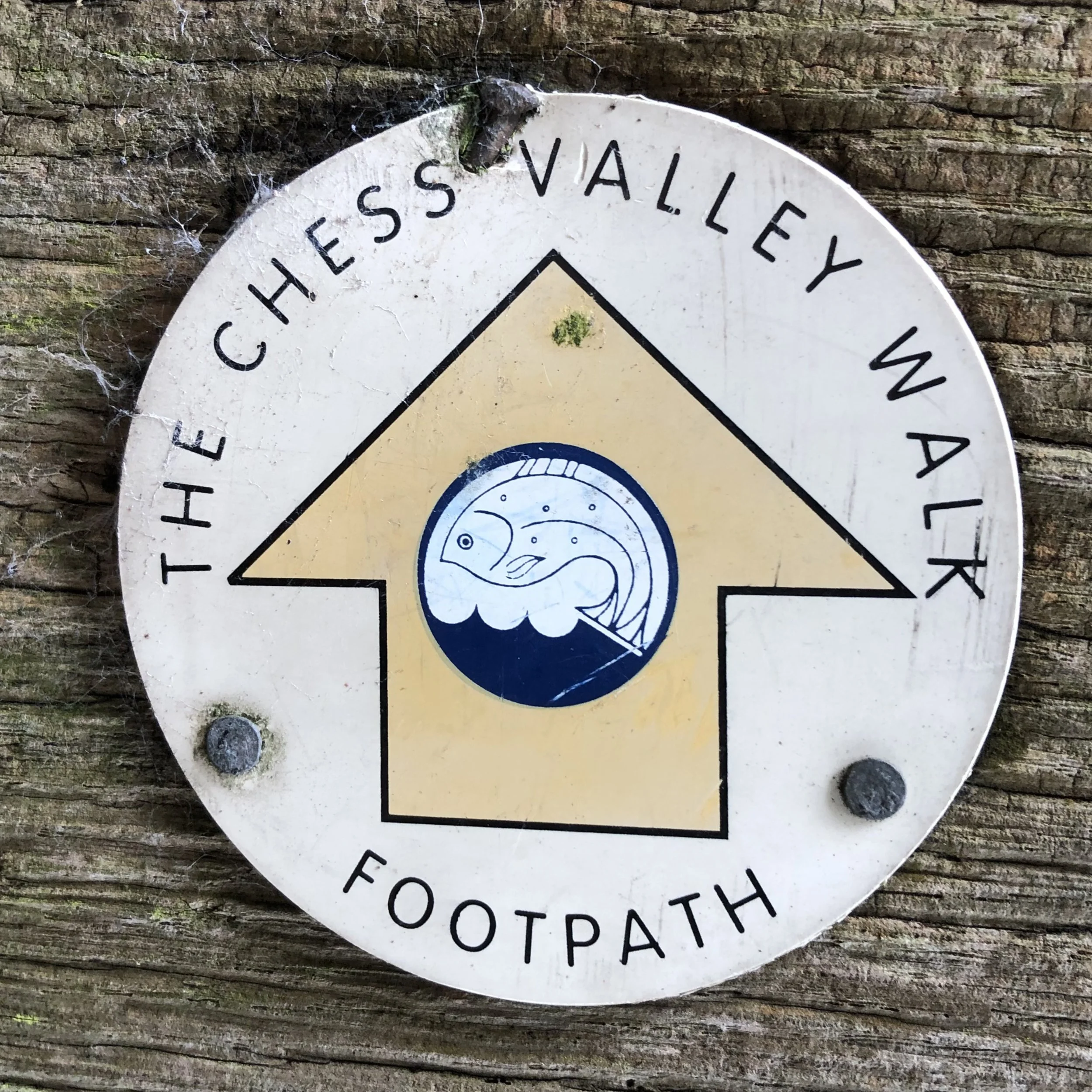 Best Chiltern Walks: Trail Guides, Maps, and Routes in the Chiltern ...