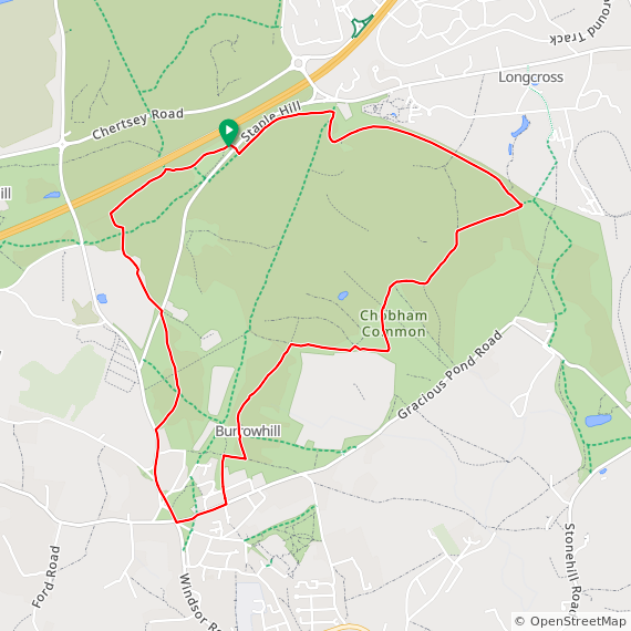 Surrey Walks: Chobham Common South — Richard Gower