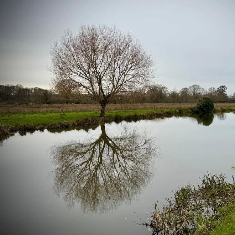 Walking The River Wey and Wey Navigation — Richard Gower