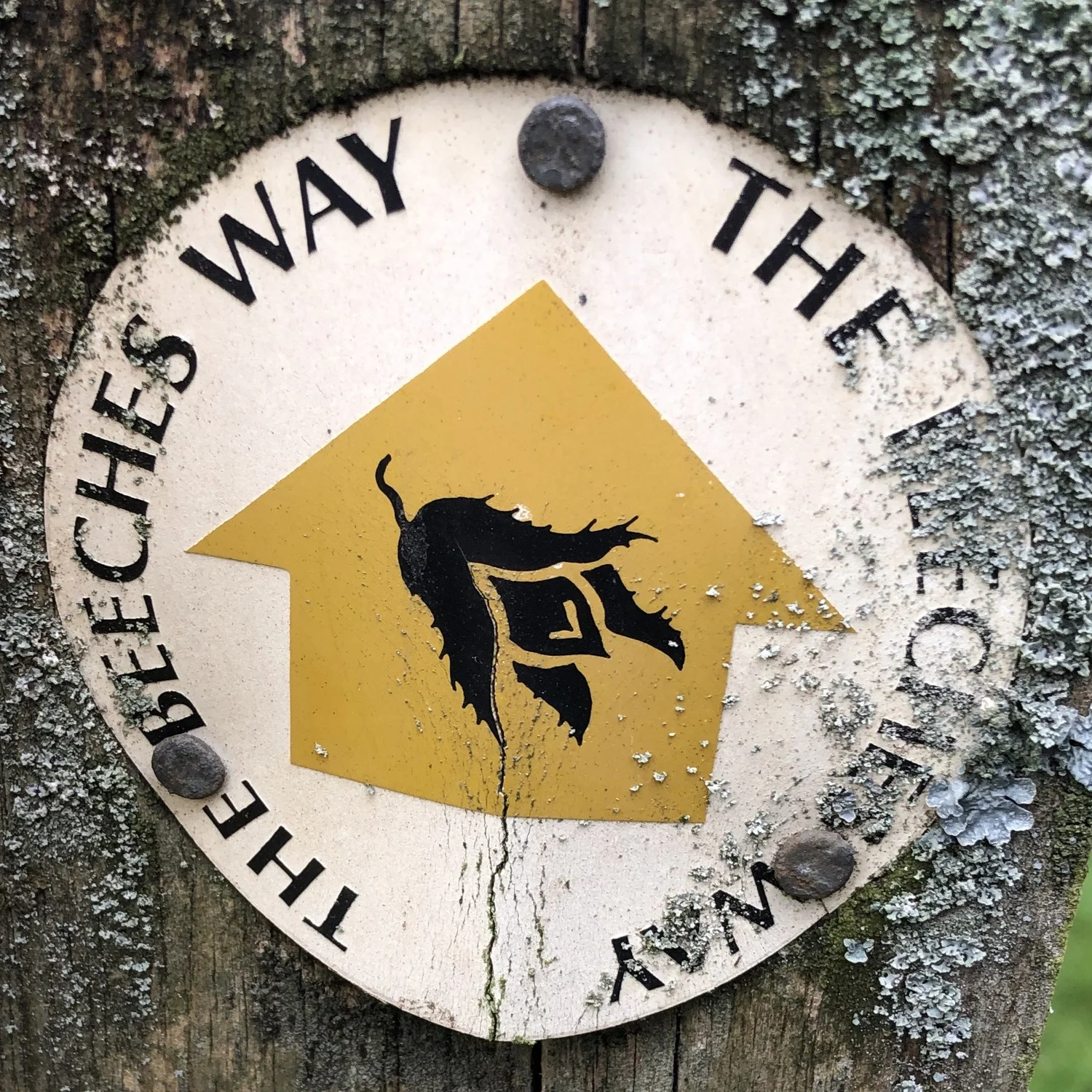 Best Chiltern Walks: Trail Guides, Maps, and Routes in the Chiltern ...