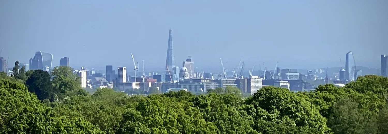 London's Protected Views — Richard Gower