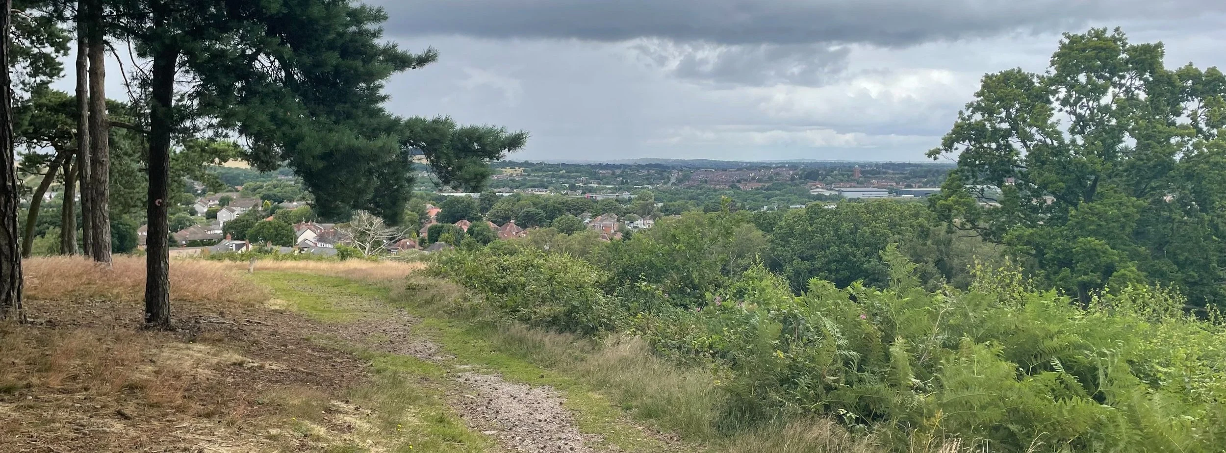 Rednal Hill North Top: Birmingham High Point — Richard Gower