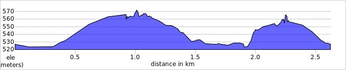 Werfa: Bridgend County Top — Richard Gower