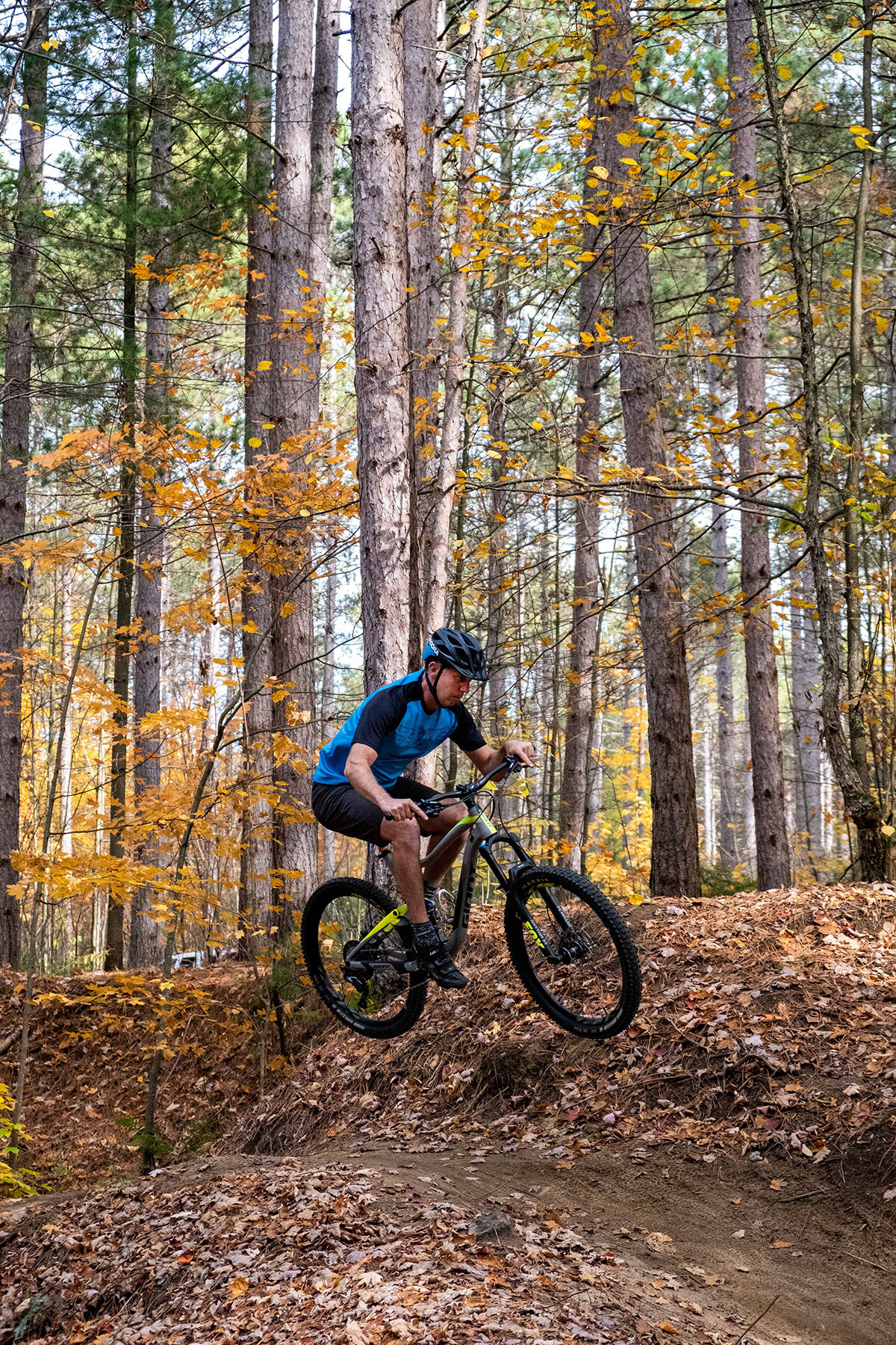Les sentiers battus de la forêt Larose — Jonathan B. Roy