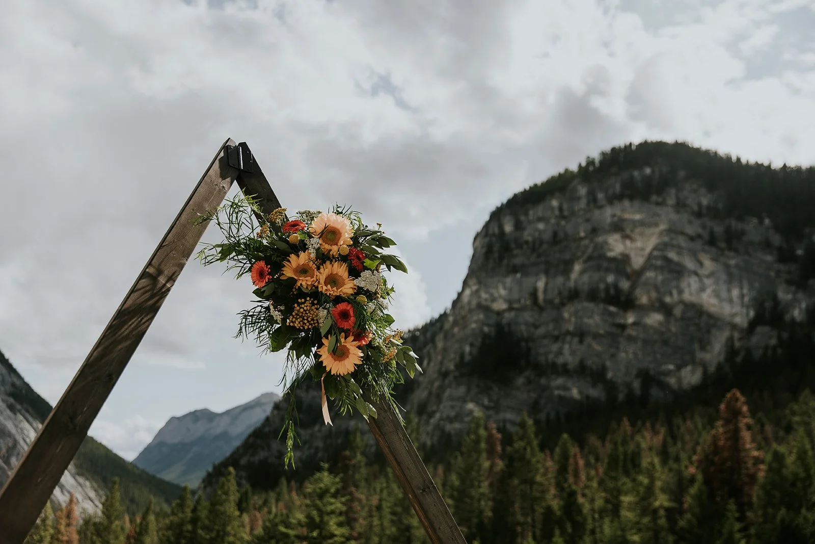 Buffalo Mountain Lodge Wedding - Banff Wedding Venue — Calgary ...
