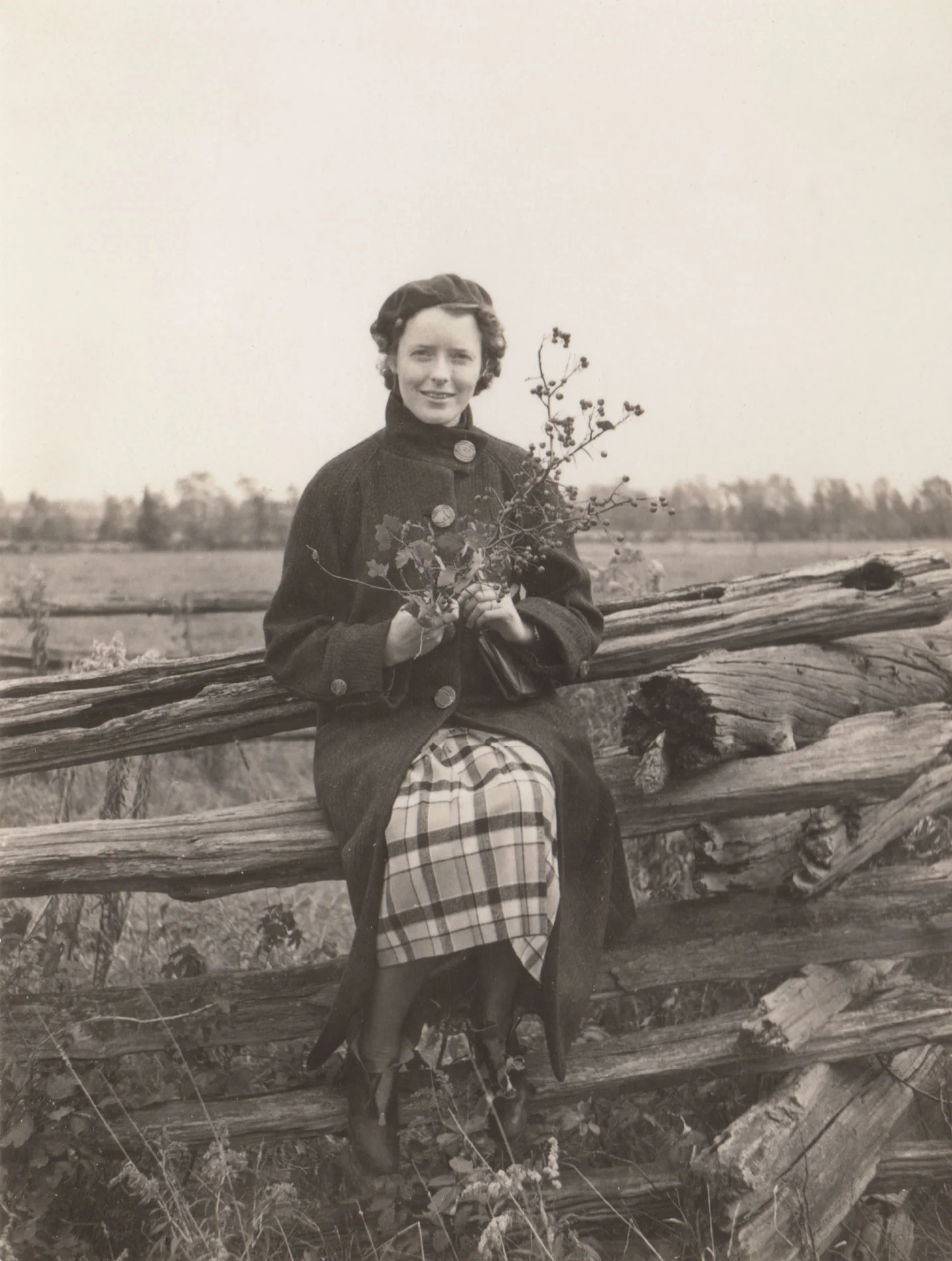 Alpine Blog — E.H. PEARSON COLLECTION
