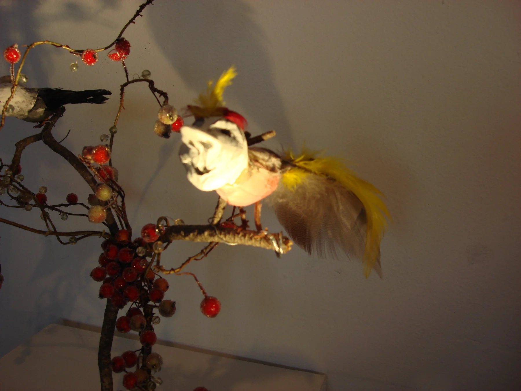 Shop — Lynn Rubenzer