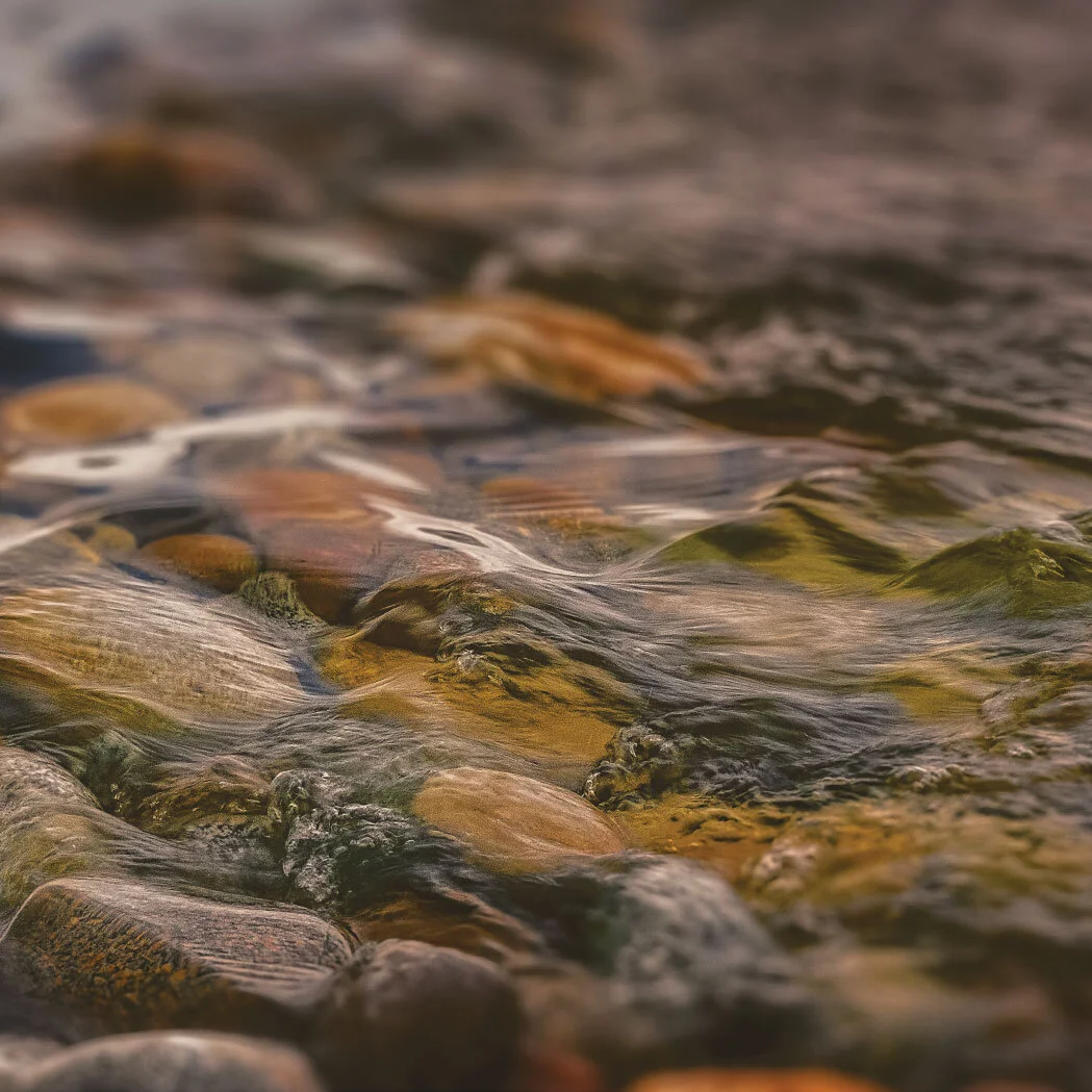KYLE WHYTE on the Colonial Genesis of Climate Change — FOR THE WILD