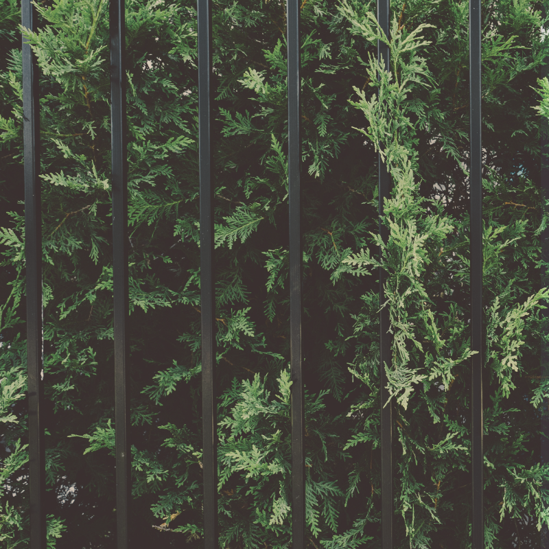 MARIAME KABA on Moving Past Punishment — FOR THE WILD