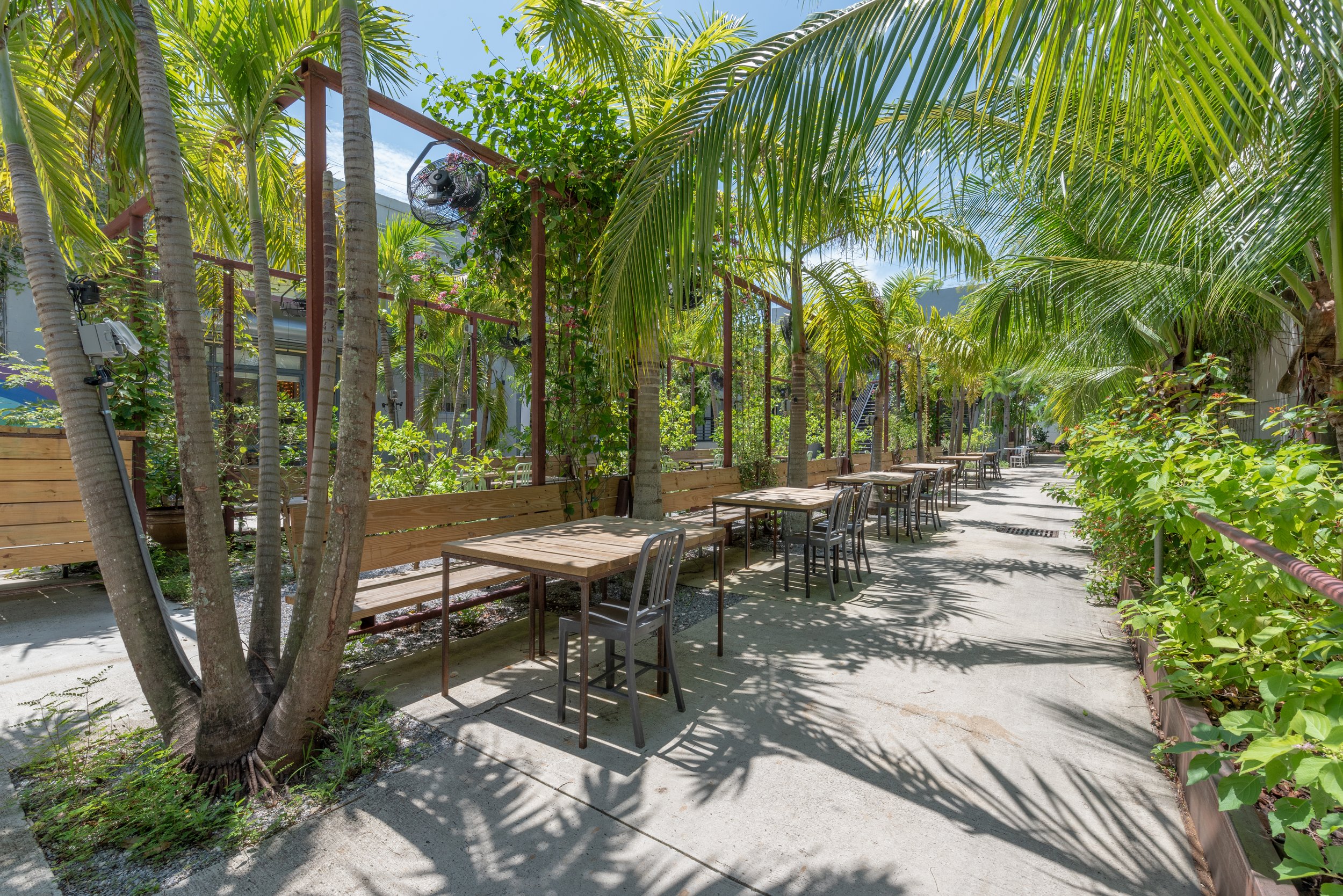 Miami Ironside's Lemon Grove: An Open-Air Venue with Lemon Trees ...