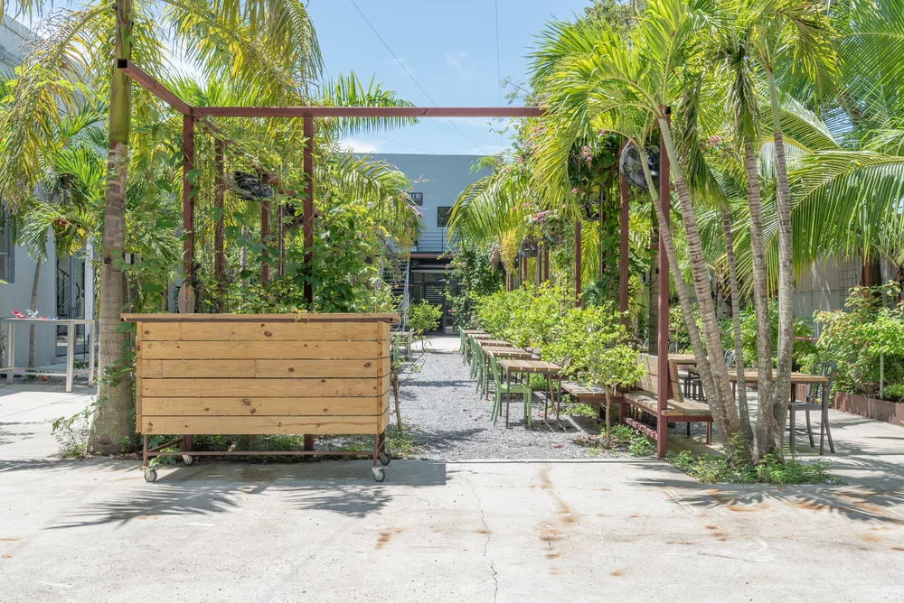 Miami Ironside's Lemon Grove: An Open-Air Venue with Lemon Trees ...