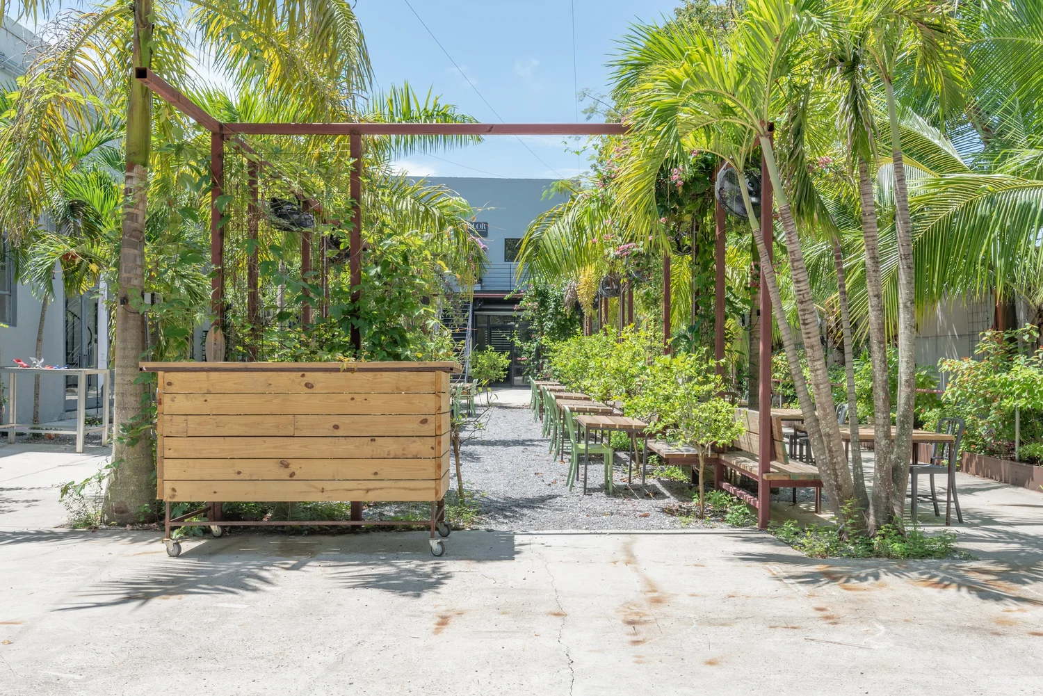 Miami Ironside's Lemon Grove: An Open-Air Venue with Lemon Trees ...