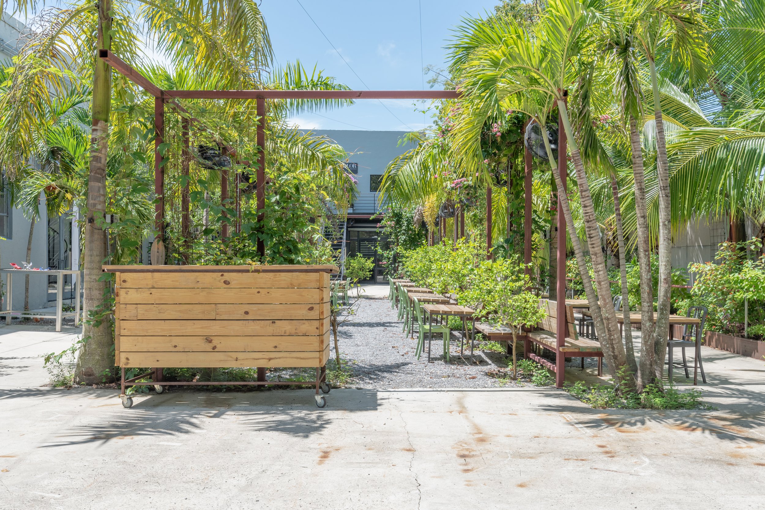 Miami Ironside's Lemon Grove: An Open-Air Venue with Lemon Trees ...