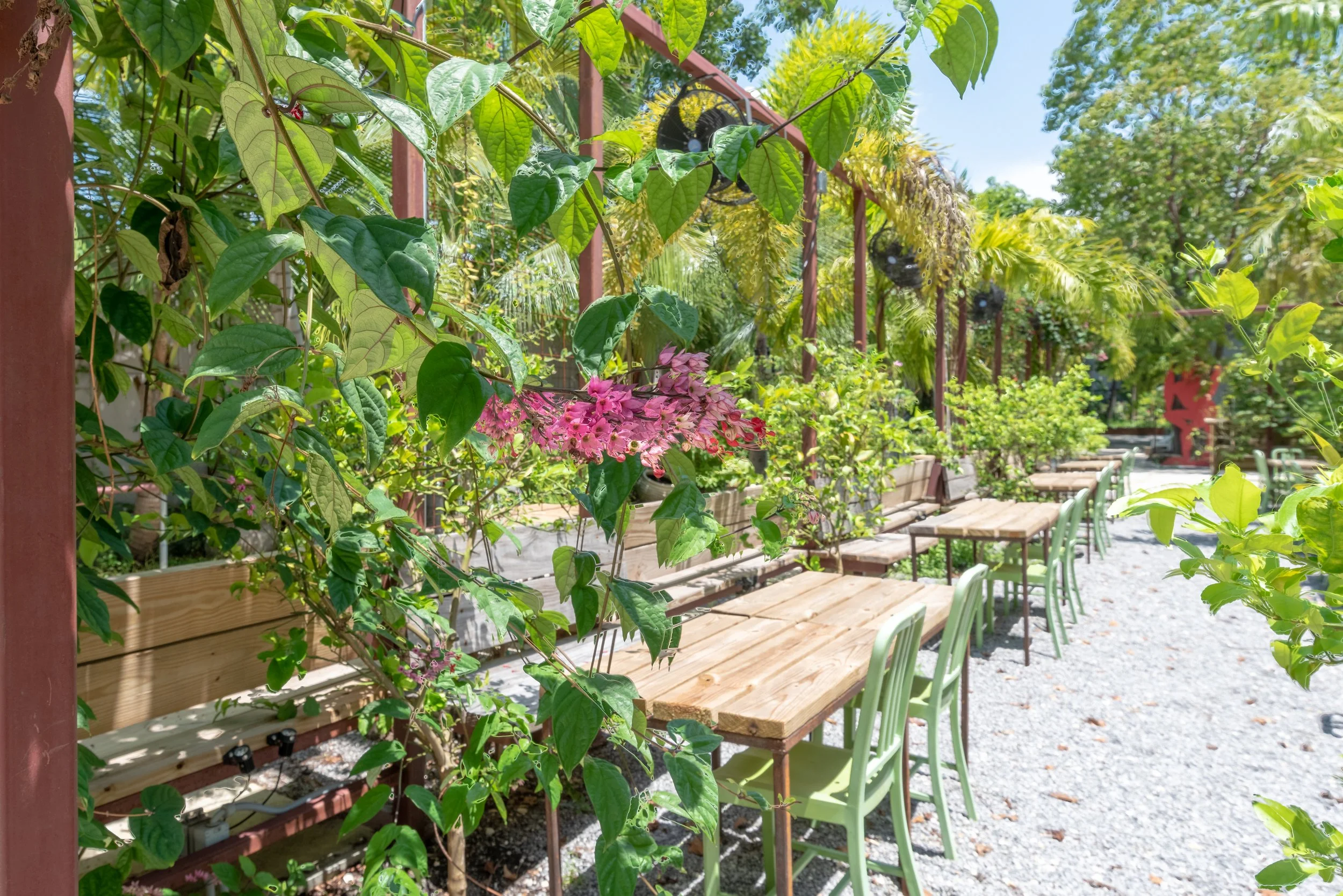 Miami Ironside's Lemon Grove: An Open-Air Venue with Lemon Trees ...