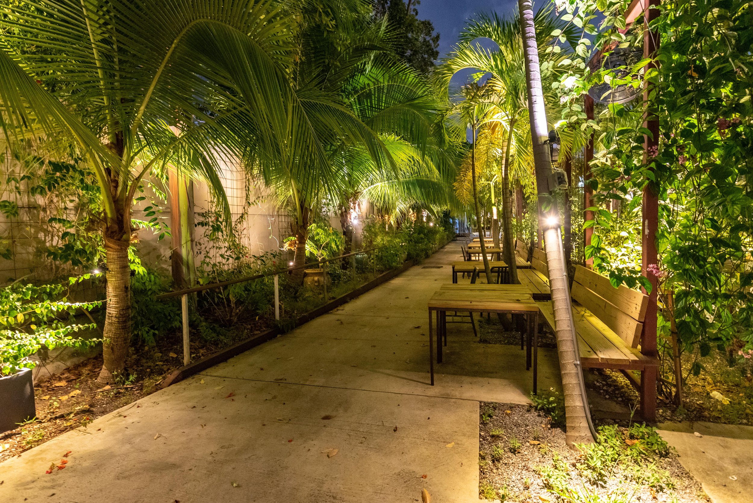 Miami Ironside's Lemon Grove: An Open-Air Venue with Lemon Trees ...