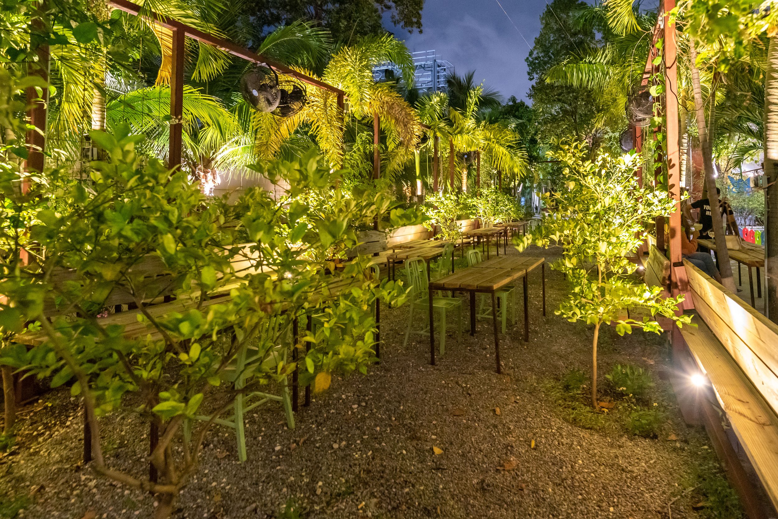 Miami Ironside's Lemon Grove: An Open-Air Venue with Lemon Trees ...