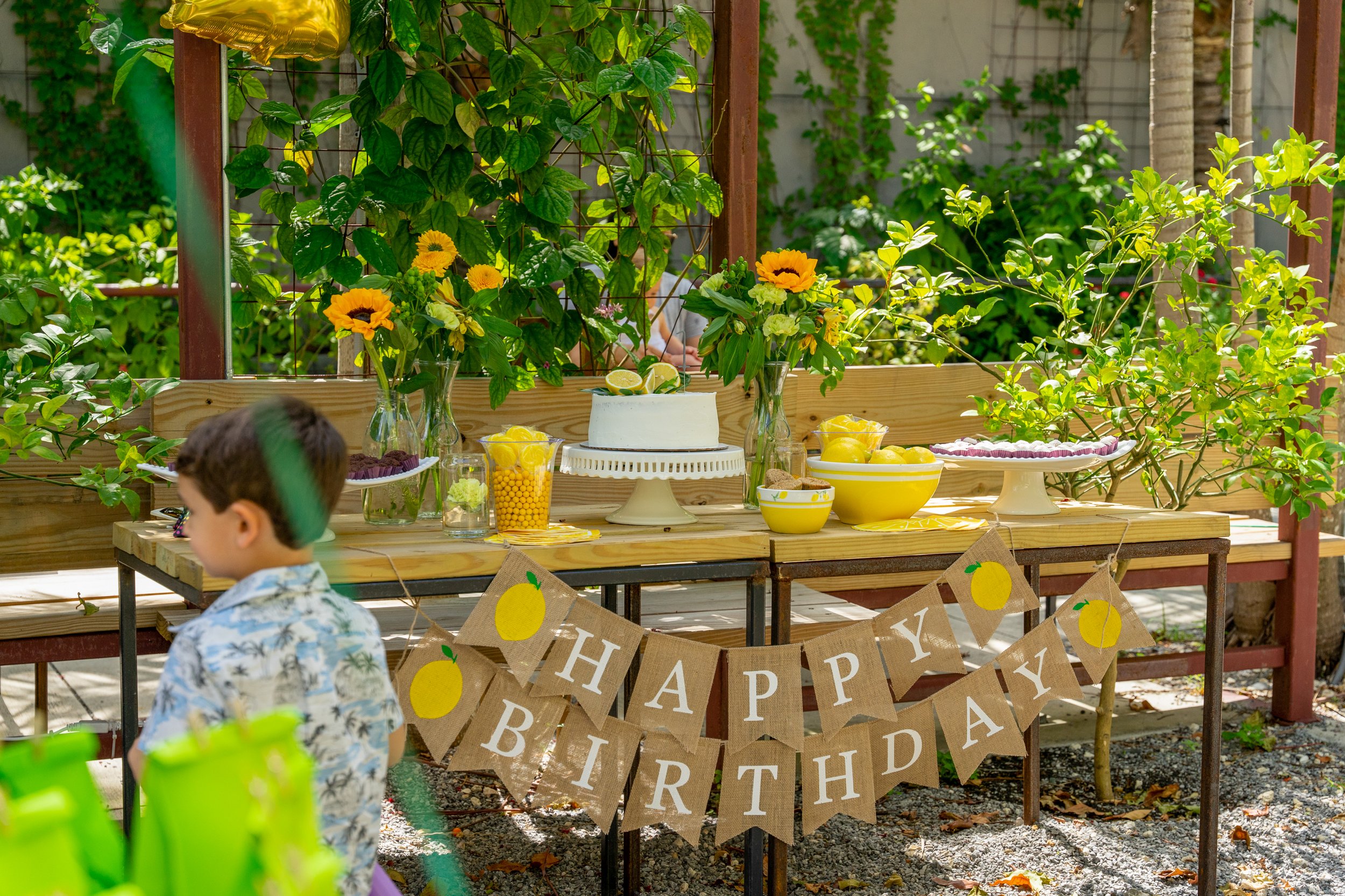 Miami Ironside's Lemon Grove: An Open-Air Venue with Lemon Trees ...