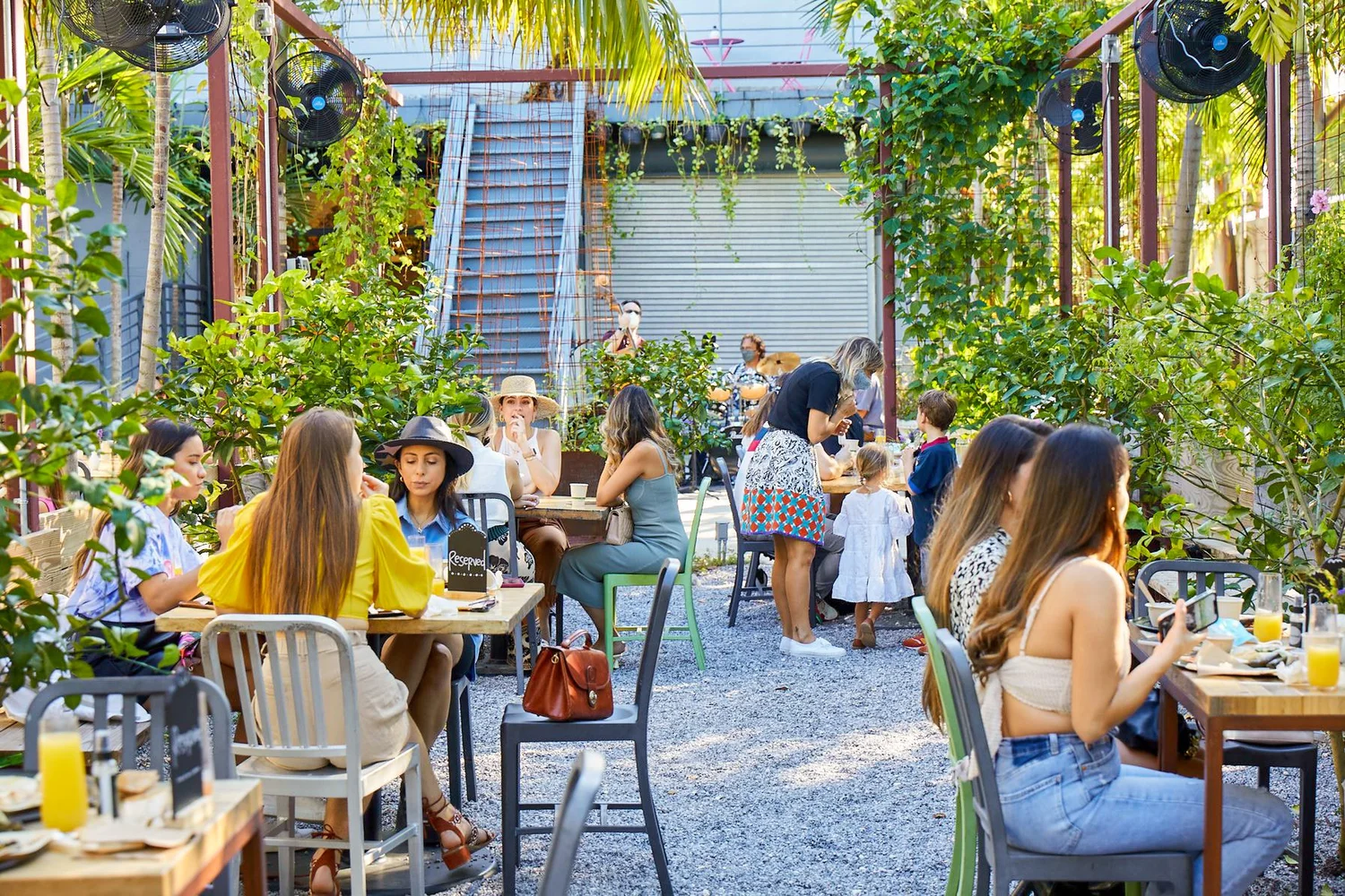 Miami Ironside's Lemon Grove: An Open-Air Venue with Lemon Trees ...