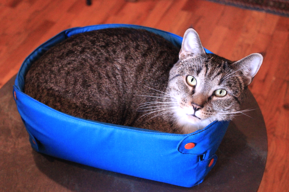 %Shop — Whisker+Box