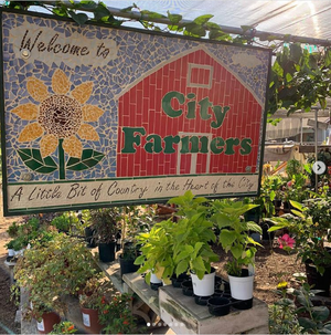 City Farmers Nursery