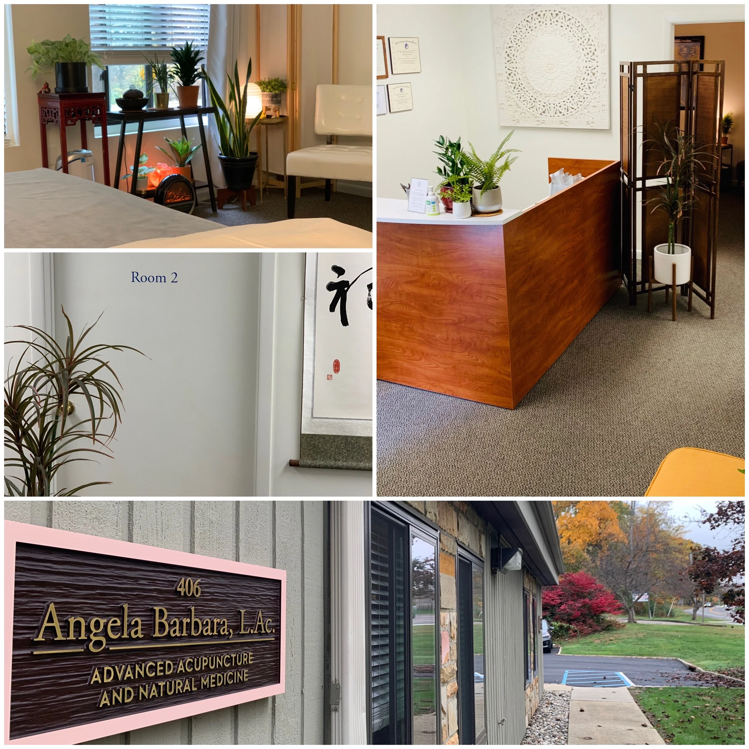 New Patients — Angela Barbara, L.Ac.