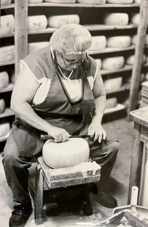 Planet Cheese: A Year of Wins and Losses — Janet Fletcher
