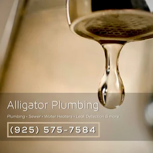 Faucet Installation & Repairs — Alligator Plumbing