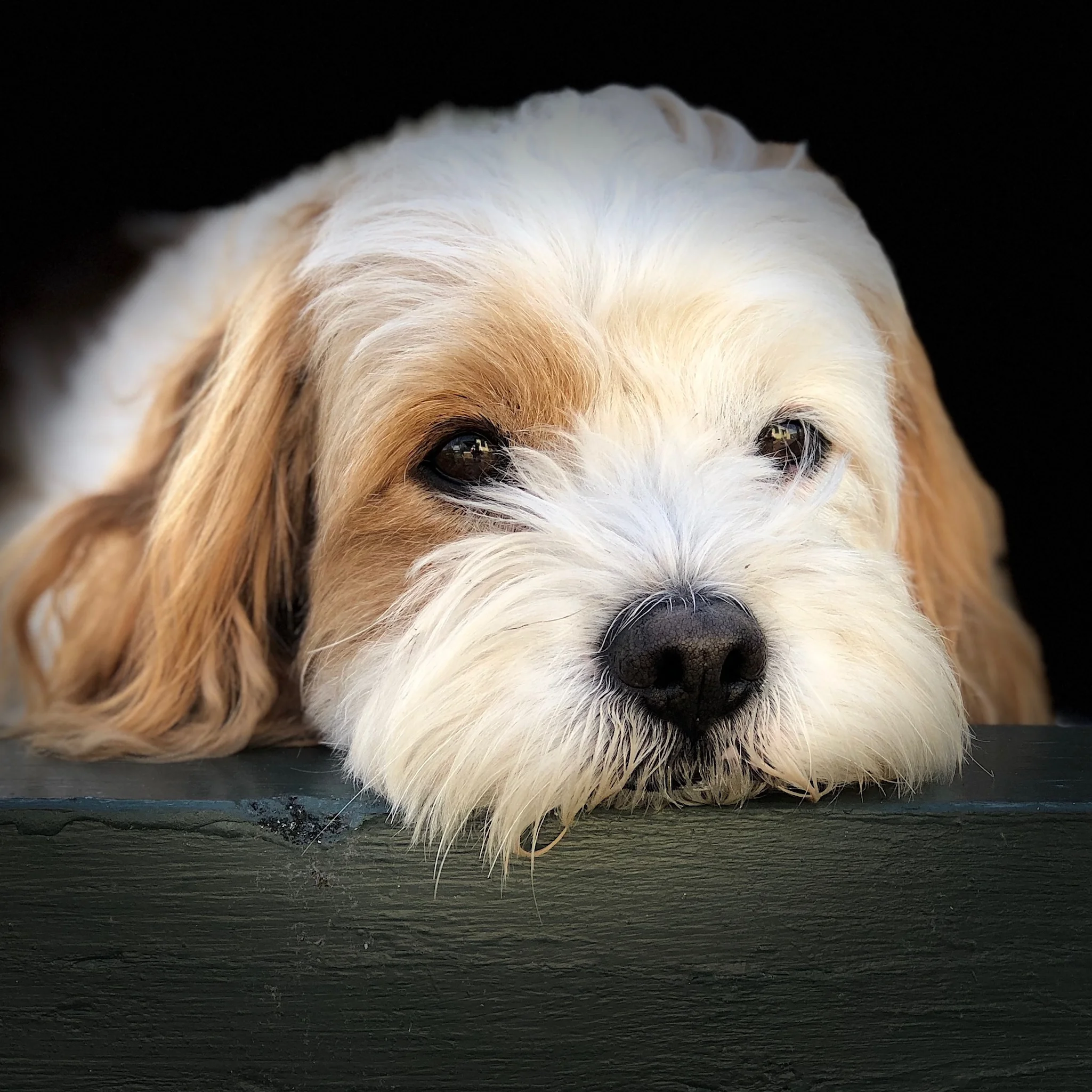 Mosman Integrative Medicine