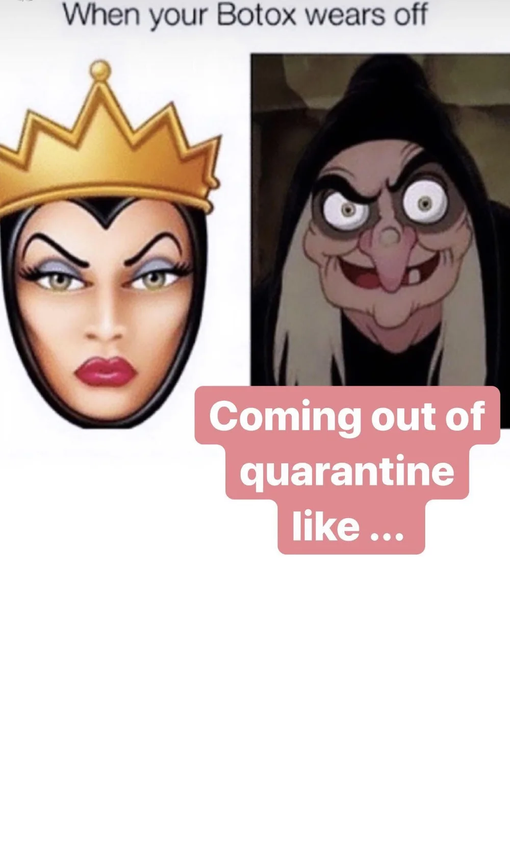 The Best of Quarantine Memes — danielle smith np